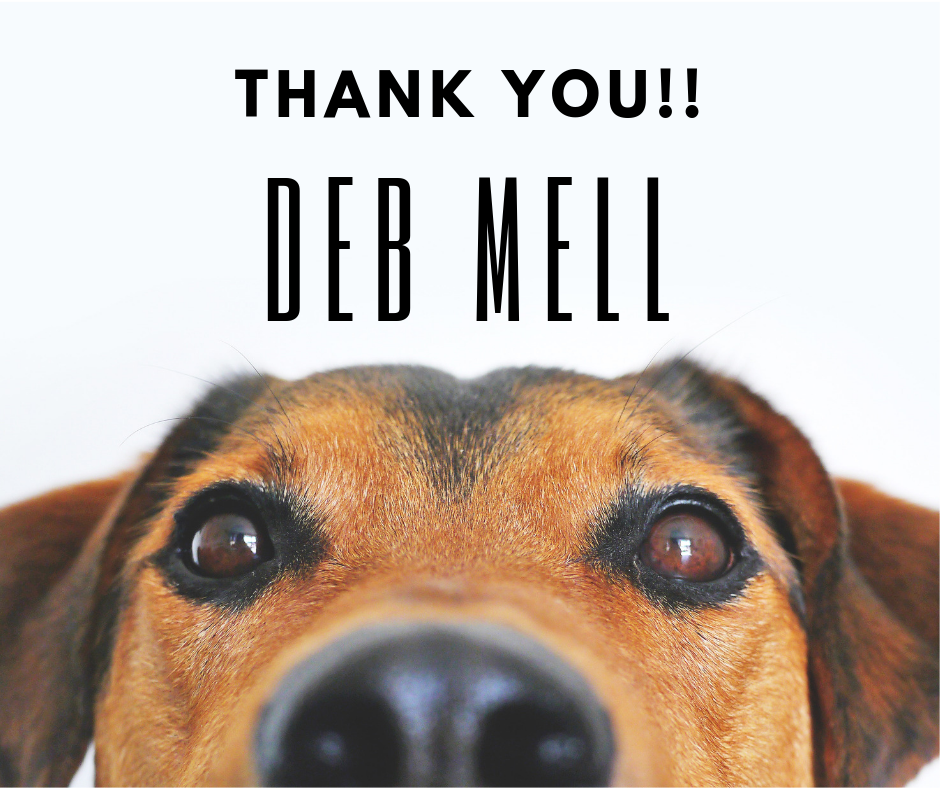 Big Doggo Thanks to Deb Mell – Horner Park Dog Park